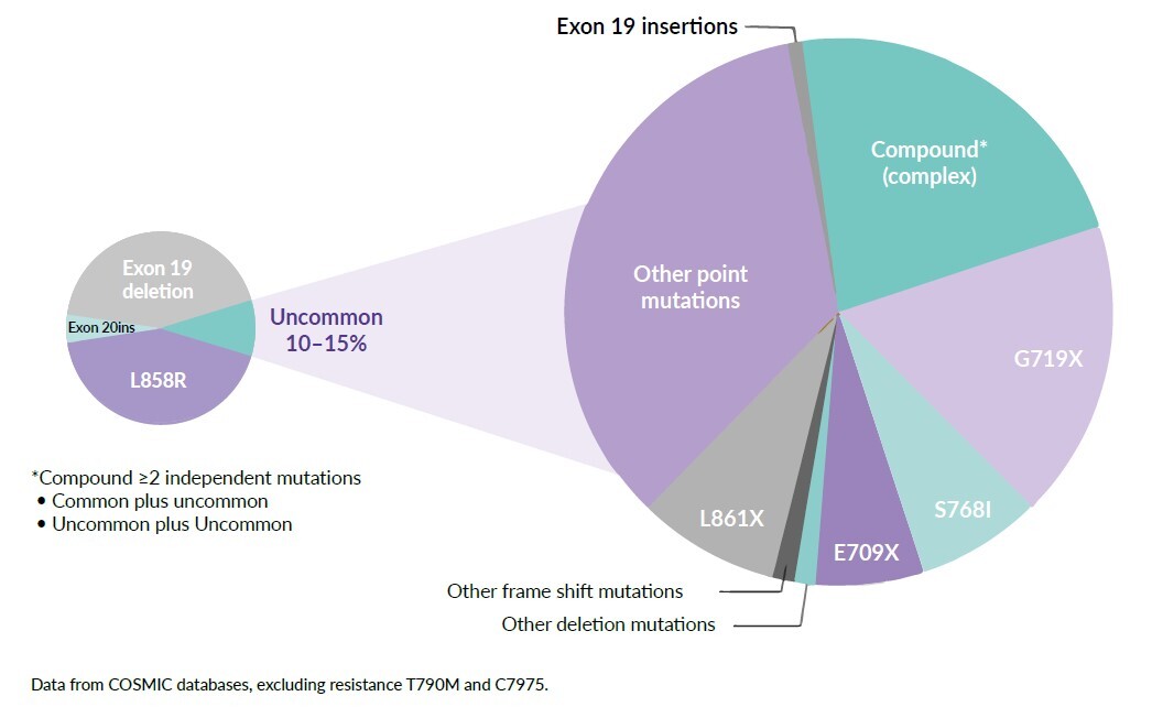 Treatment Options for Non-Small Cell Lung Cancer Harboring Uncommon ...