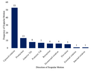 Clinically Feasible Quantitative Assessments of Dynamic Scapular Motion ...