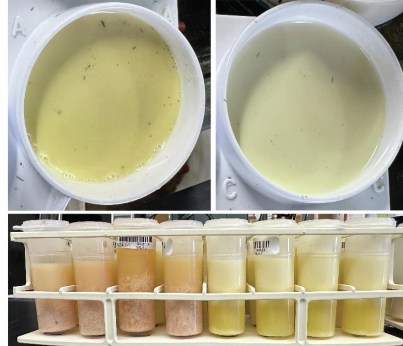 Updated Risk Assessment: Risk to UK Consumers From Highly Pathogenic ...