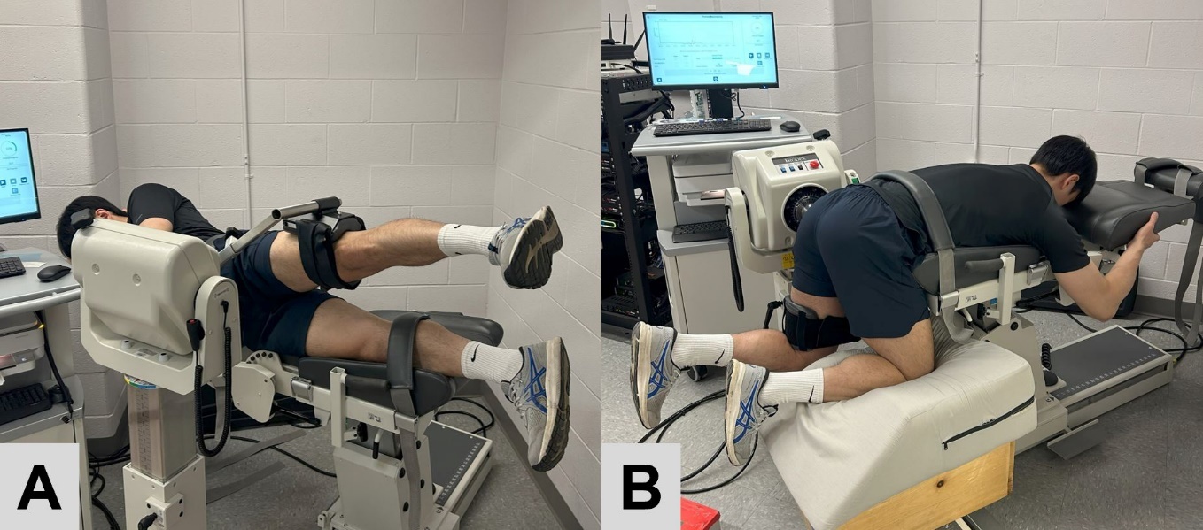 Validity and Agreement of a Portable Dynamometer in Evaluating Hip ...