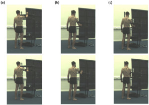 Muscle Activations of the Upper Extremity and Core during Elevation and ...