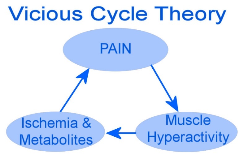 Vicious Cycle Theory vs Pain Adaptation Model: A Structured Critical ...
