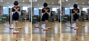 Correlation Between Y-Balance Test and Balance, Functional Performance ...