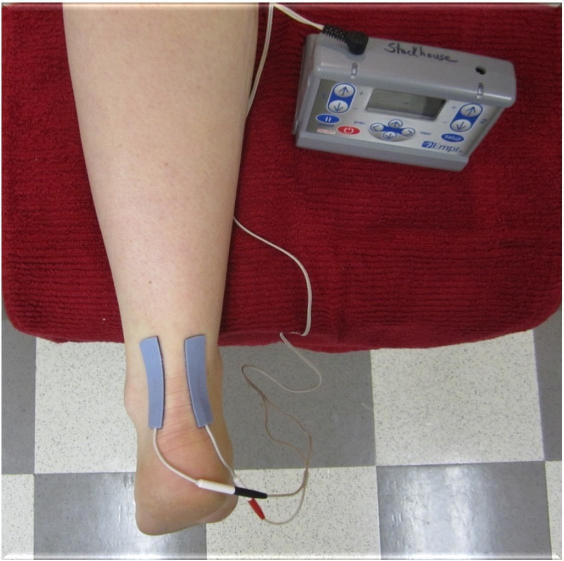 The Effects of Noxious Electrical Stimulation and Eccentric Exercise on ...