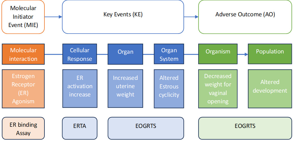 New Approach Methodologies (NAMs) to Support Regulatory Decisions for ...