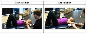 The Clinical Utility of the Seated Wall Angel as a Test with Scoring ...