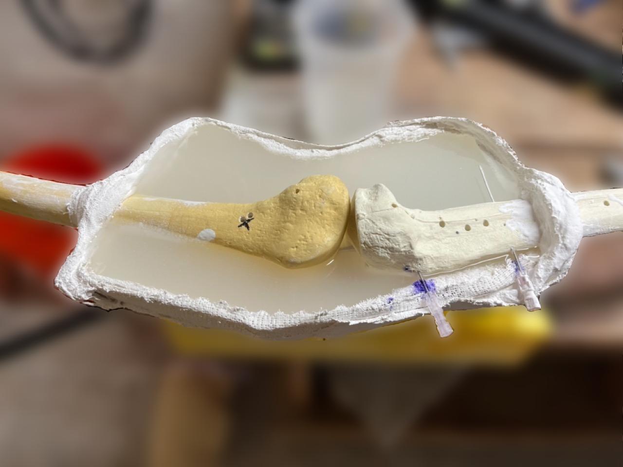 Use of a Simulation Model for Teaching the Application of Distal ...