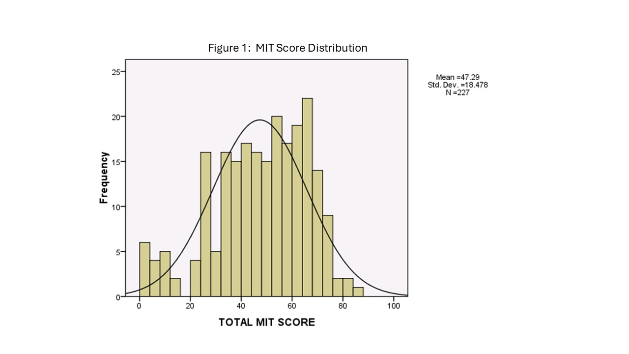 Multicultural Insights Test: Development of a Diagnostic Tool for ...