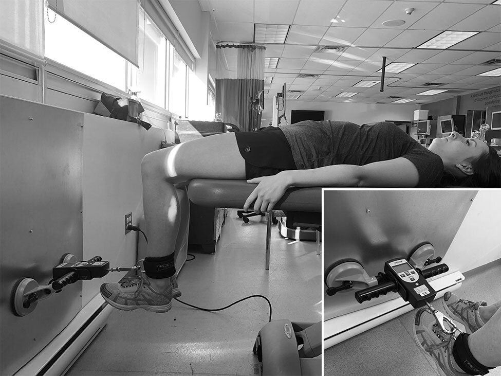 Comparison of Common Methodologies for the Determination of Knee Flexor ...