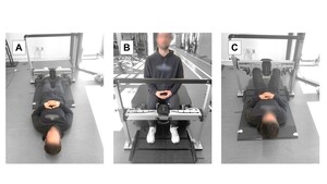 Associations Between Hip Pathology, Hip and Groin Pain, and Injuries in ...