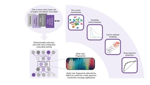 Advancements in Machine Learning (ML): Transforming the Future of Blood ...