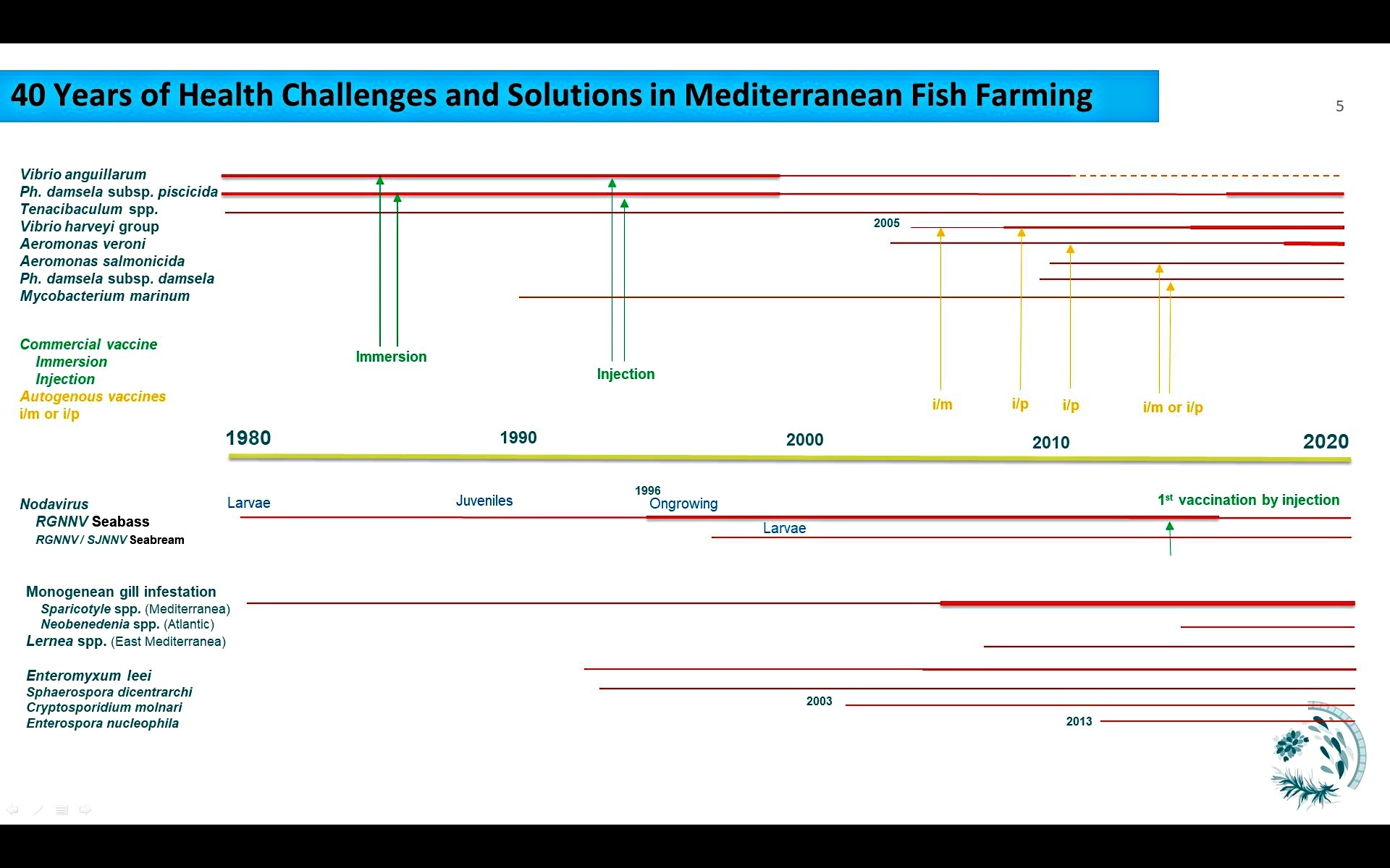New Challenges and Achievements in Mediterranean Fish Health Management ...