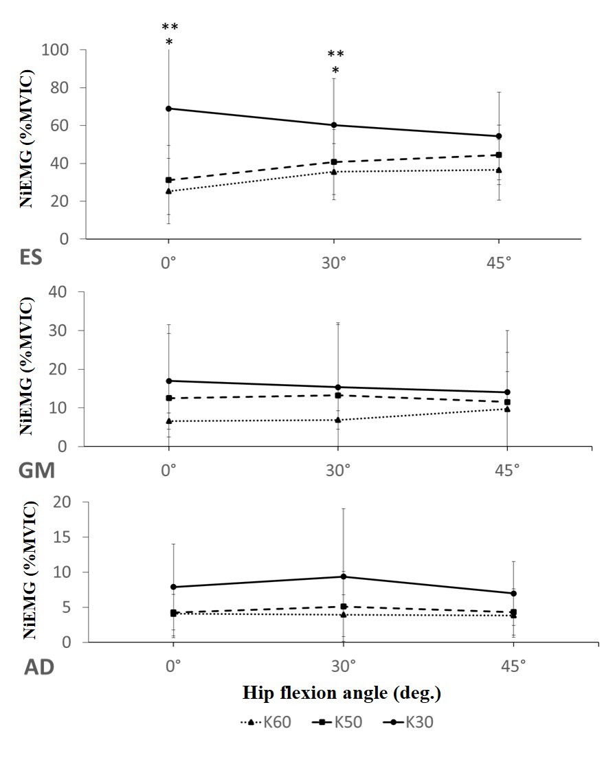 The Effect of Variations in Knee and Hip Angles on Electromyographic ...