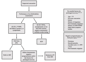 The Implementation of a Return-to-Play Protocol with Standardized ...