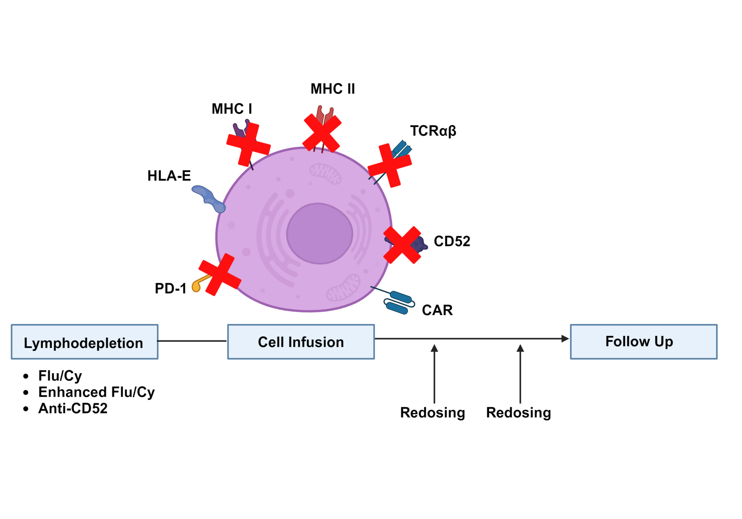 Allogeneic and other innovative chimeric antigen receptor platforms ...