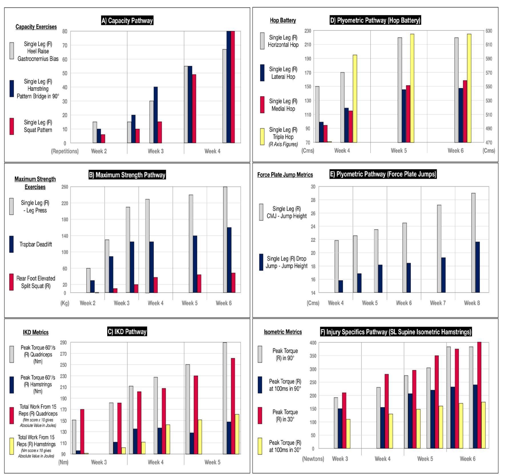 The Development Of A Return To Performance Pathway Involving A Professional Soccer Player