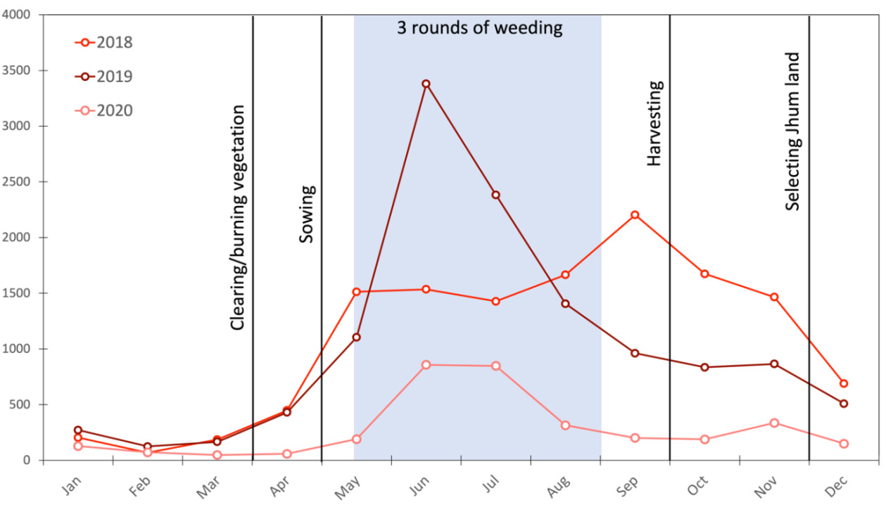 Changing patterns of Jhum cultivation in Tripura, India and their ...