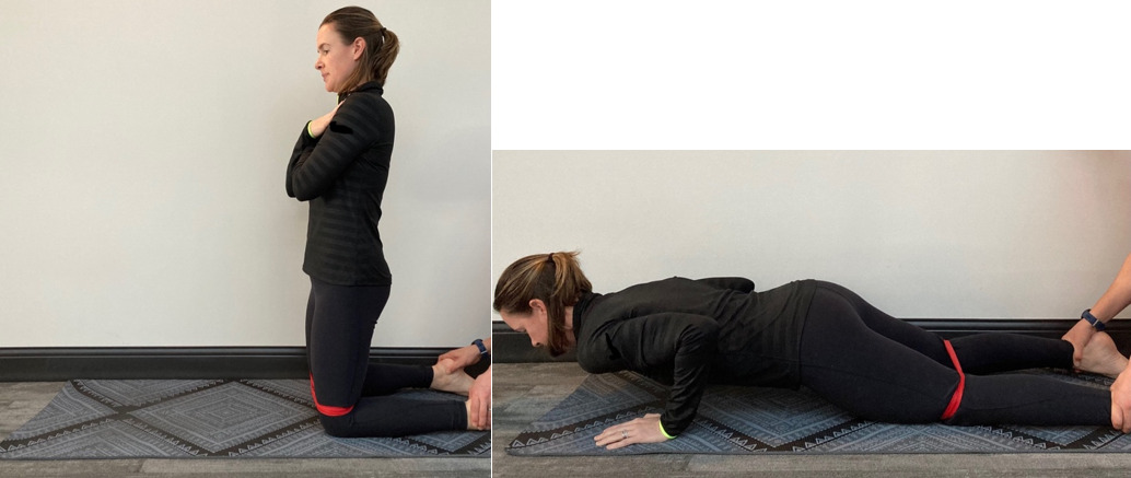 Hamstring Injury Rehabilitation and Prevention in the Female Athlete ...