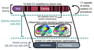 Stable multivariate lesion symptom mapping | Published in Aperture Neuro