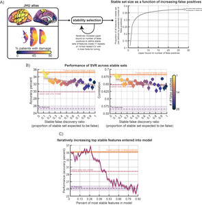 Stable multivariate lesion symptom mapping | Published in Aperture Neuro