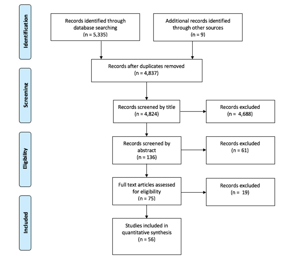 Lower Kinetic Chain, Meet the Thinking Brain: A Scoping Review of ...