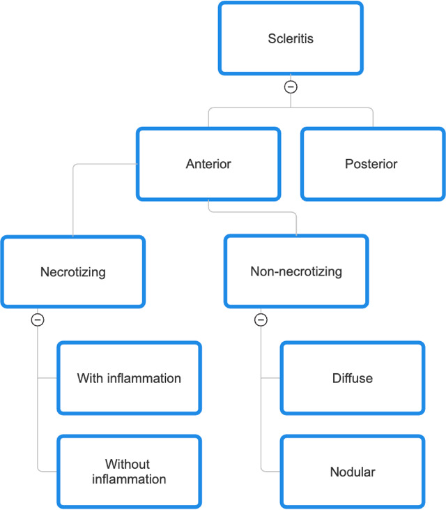 Anterior Diffuse Scleritis: A Case Report and Review | Published in CRO ...