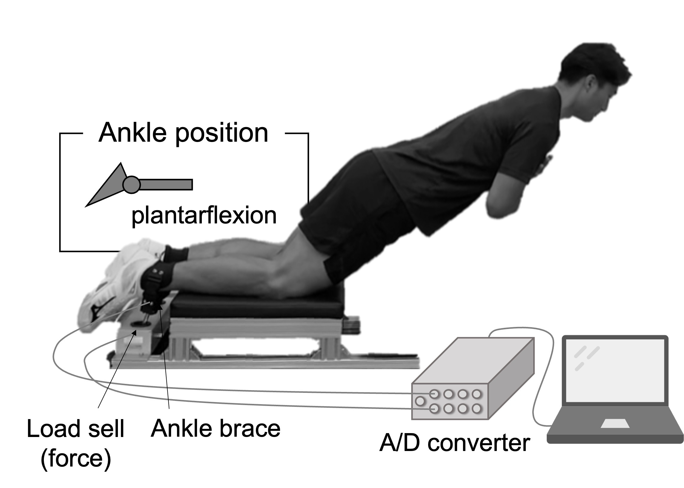 Relationship Between Peak Eccentric Force During The Nordic Hamstring Exercise And One