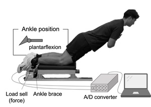 Relationship between Peak Eccentric Force during the Nordic Hamstring ...