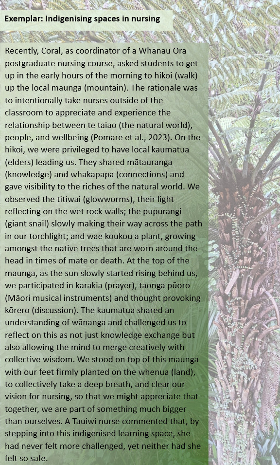 Honouring Te Tiriti O Waitangi: Nurses Working Together to Advance ...