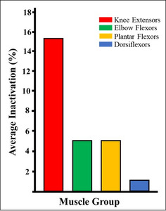 Oh, My Quad: A Clinical Commentary And Evidence-Based Framework for the ...