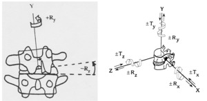 NECESSITY FOR BIOMECHANICAL EVALUATION OF POSTURE, ALIGNMENT AND ...