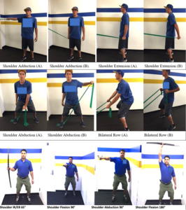 Bodyblade™ Training in Athletes with Traumatic Anterior Shoulder ...