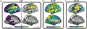 Stable multivariate lesion symptom mapping | Published in Aperture Neuro