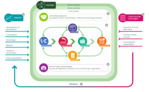 Use of AI in the UK Food System | Published in FSA Research and Evidence