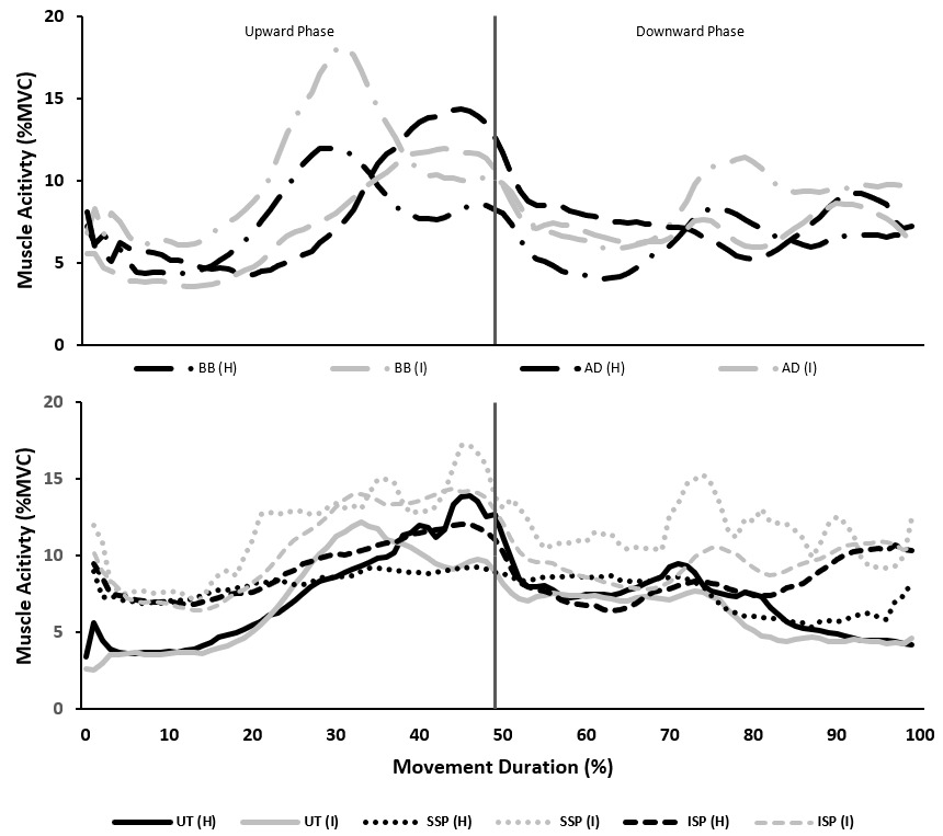 Muscle Activations of the Upper Extremity and Core during Elevation and ...