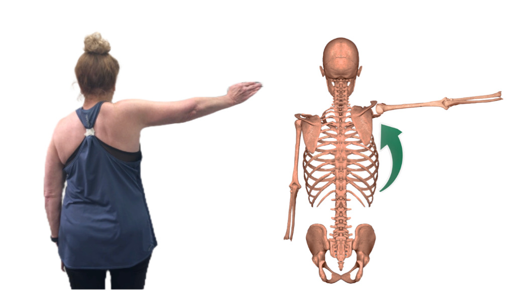 Scapular Stabilization for Shoulder Pain: Putting the Cart Before the ...
