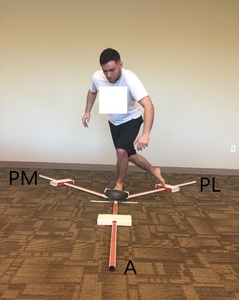 Lower Extremity and Trunk Electromyographic Muscle Activity During ...