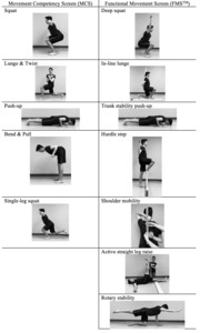 Movement Competency Screen: Rethinking the Rating | Published in ...