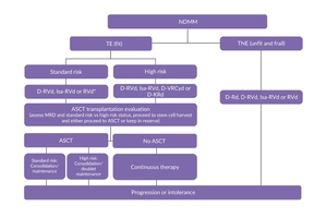 The Rapidly Evolving Treatment Landscape in Newly Diagnosed Multiple ...