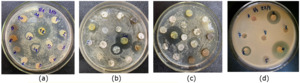 Isolation, identification, and evaluation of the characteristics of ...