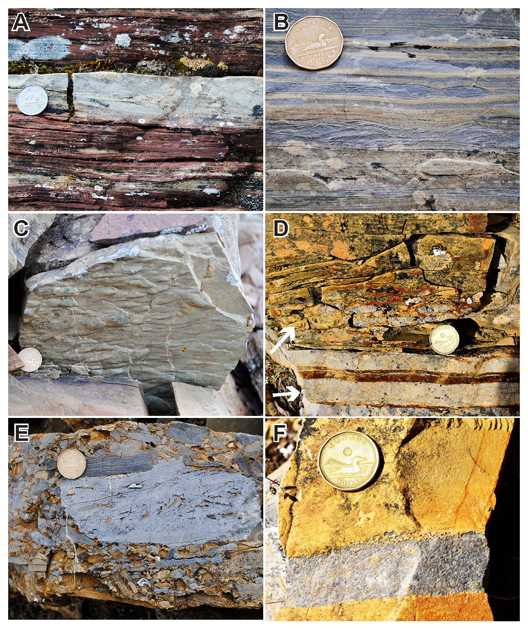 Integrated Litho Chemo And Sequence Stratigraphy Of The Ediacaran