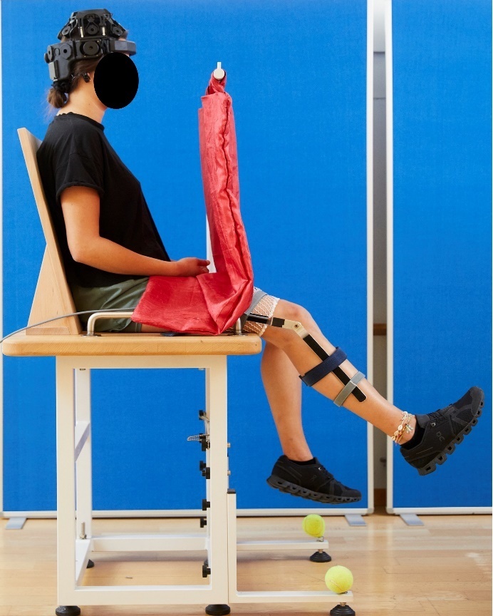 Monitoring Cortical and Neuromuscular Activity: Six-month Insights into ...