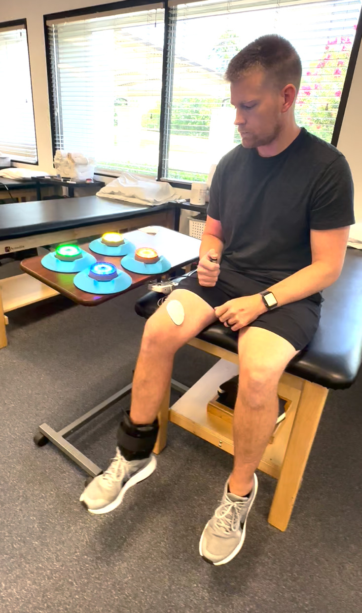 Neurocognitive and Neuromuscular Rehabilitation Techniques after ACL ...