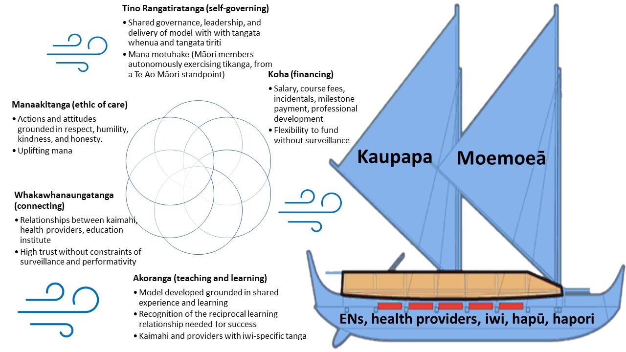 From Kaimahi to Enrolled Nurse: A Successful Workforce Initiative to ...