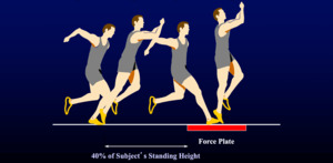 Sex and Age Comparisons in Neuromuscular And Biomechanical ...