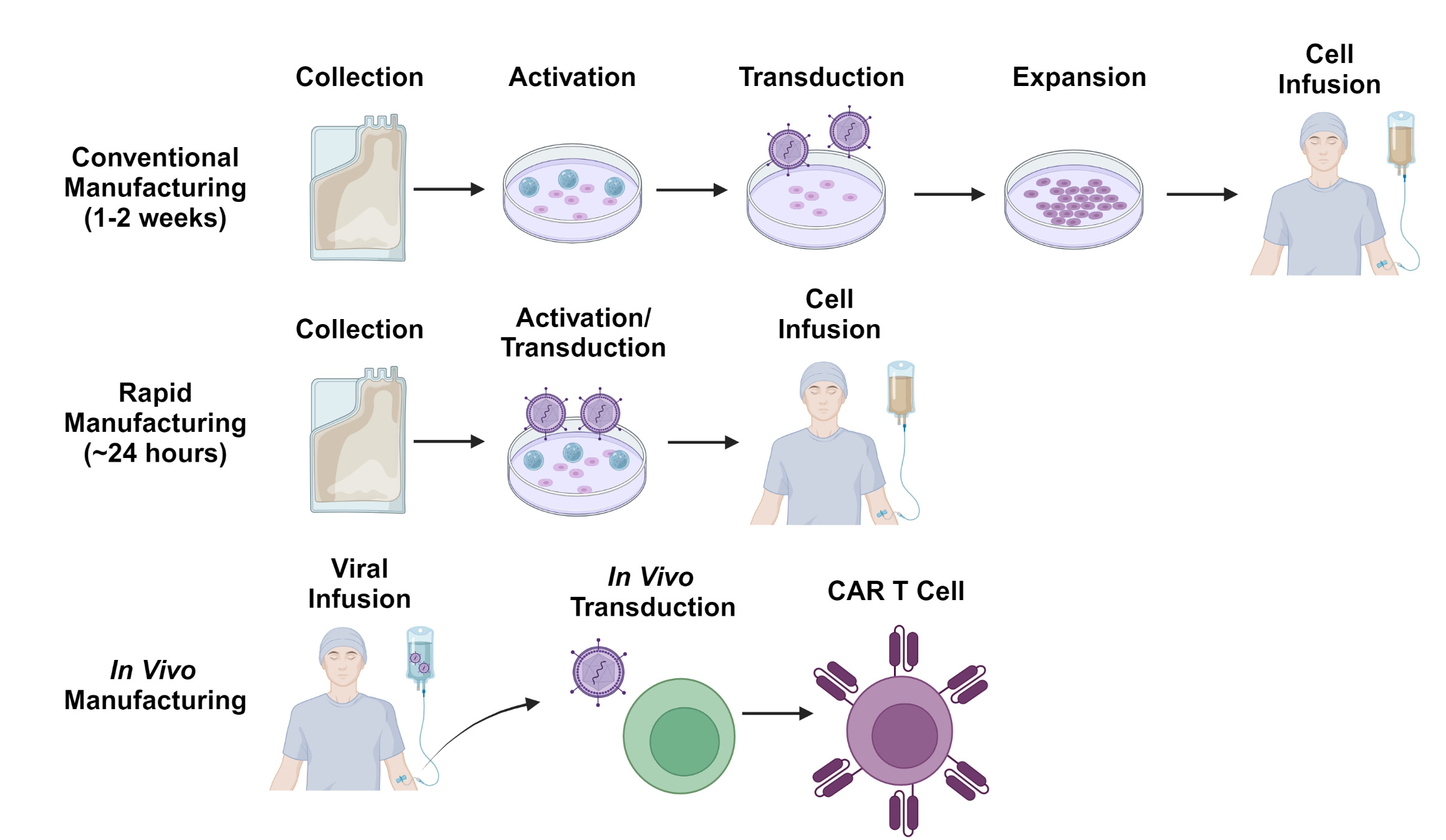 Allogeneic and other innovative chimeric antigen receptor platforms ...