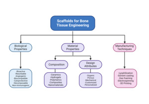 From Bone To Blood Flow: Tissue Engineering In Orthopedics – A ...