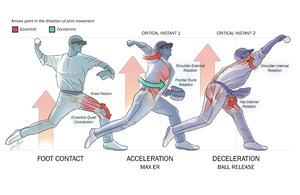 Evaluation and Treatment of Baseball Pitchers: There’s More to Assess ...