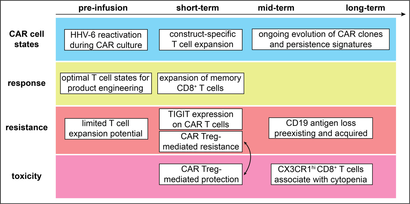Single-cell genomics-based immune and disease monitoring in blood ...