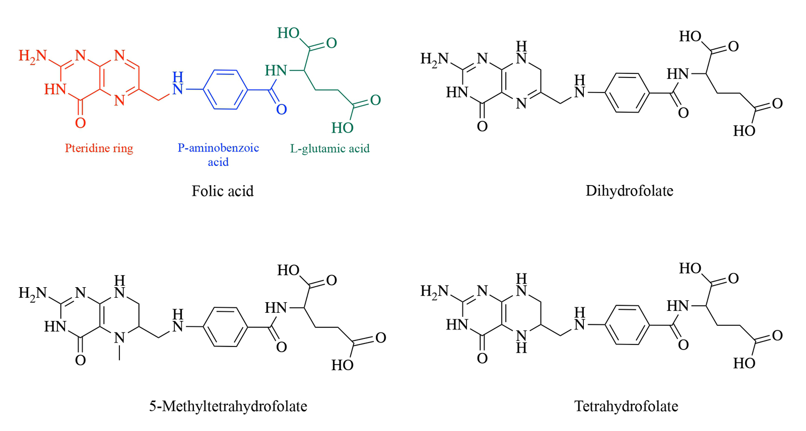 folate lewis structure